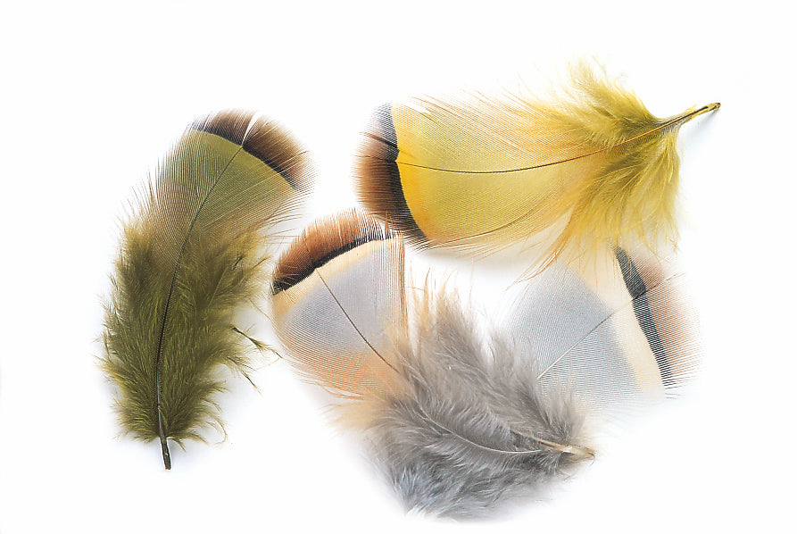 Partridge Feathers | FINESSE FLY TYING | FAST SHIPPING