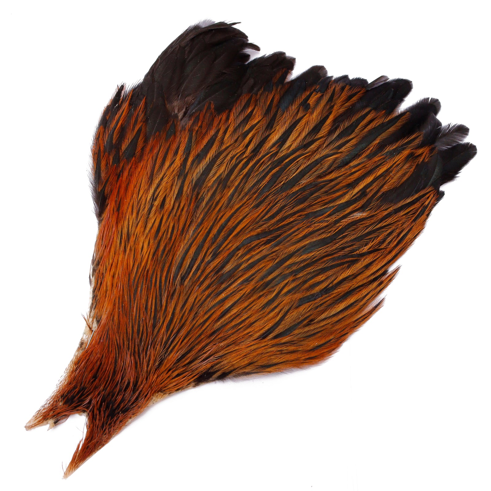 Metz Genetic Hen Neck Grade 1 | Fly Tying Materials | Finesse Fly Tying