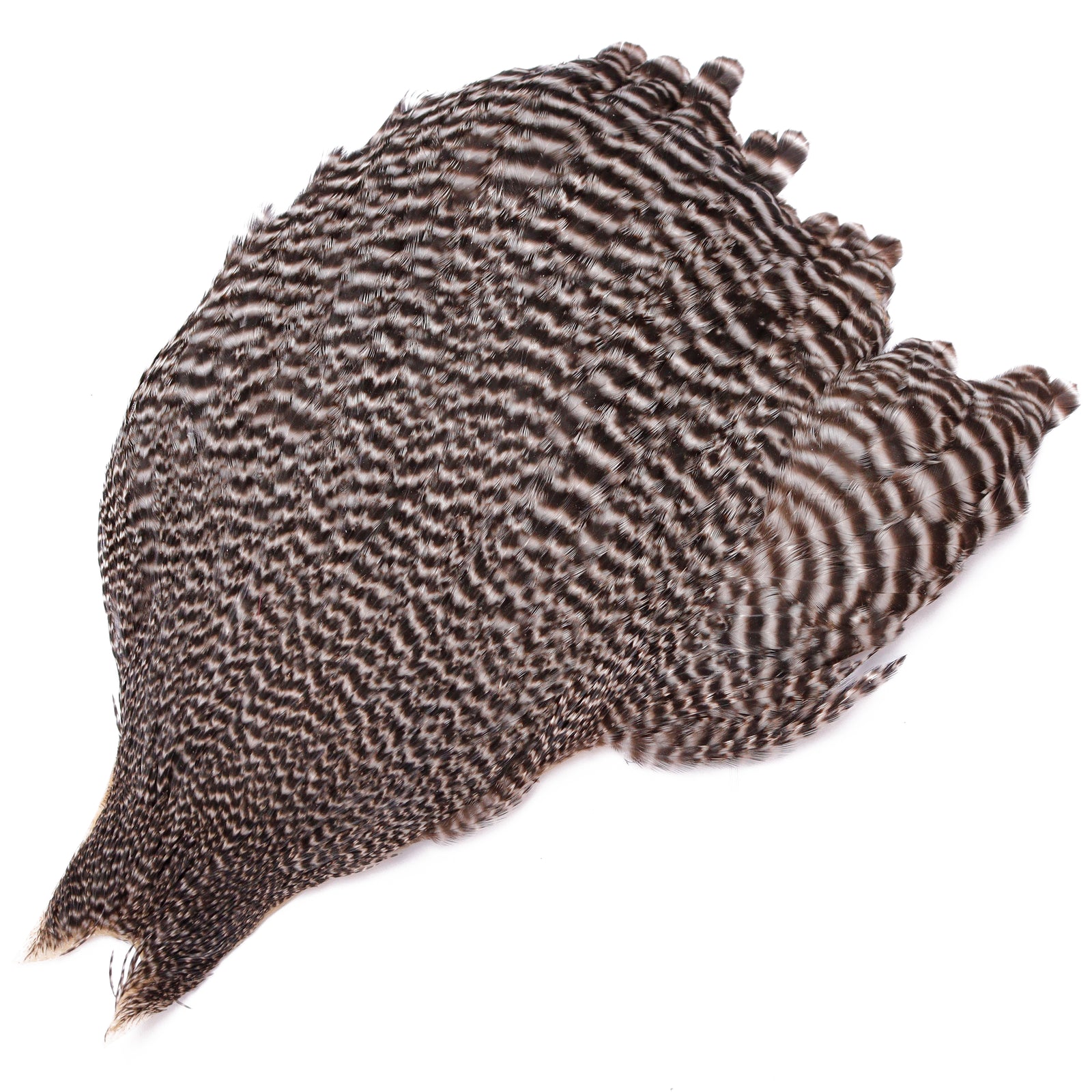 Metz Genetic Hen Neck Grade 1 | Fly Tying Materials | Finesse Fly Tying
