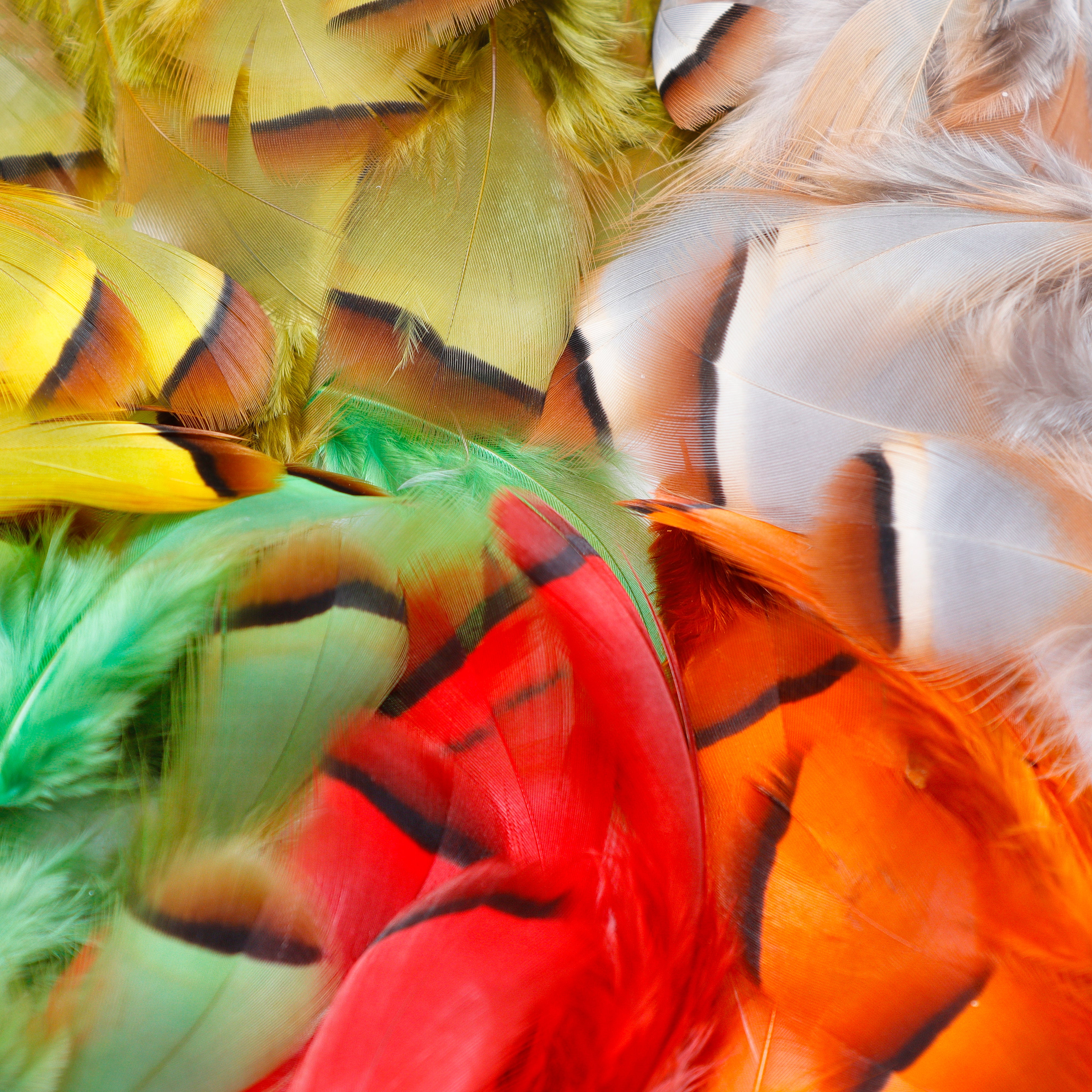 Veniard French Partridge Hackle - 2g | FINESSE FLY TYING